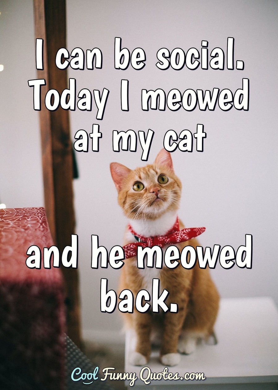 Cool Funny Quotes - 1200 Amusing Sayings and Quotations