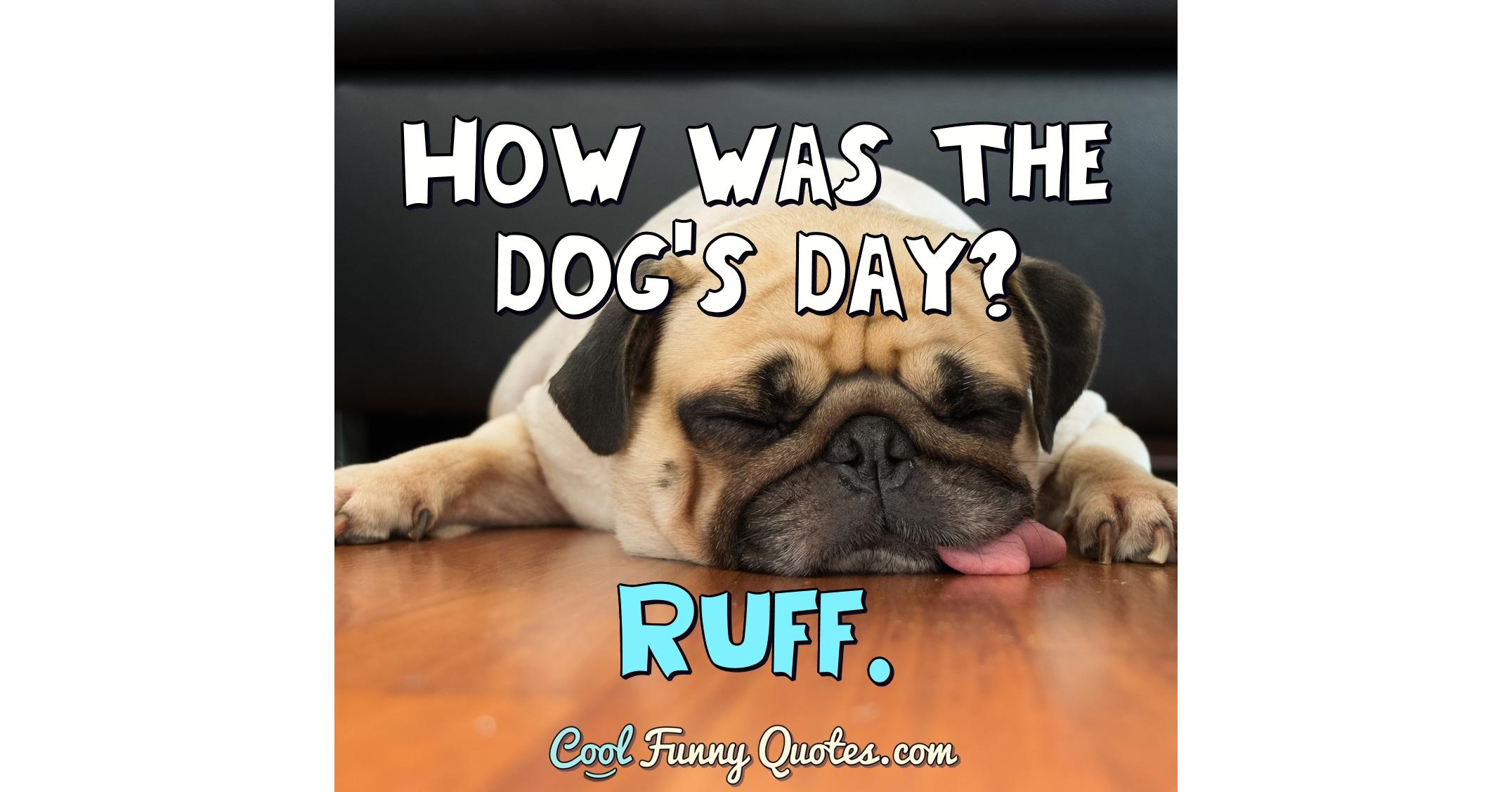 How was the dog's day? Ruff.