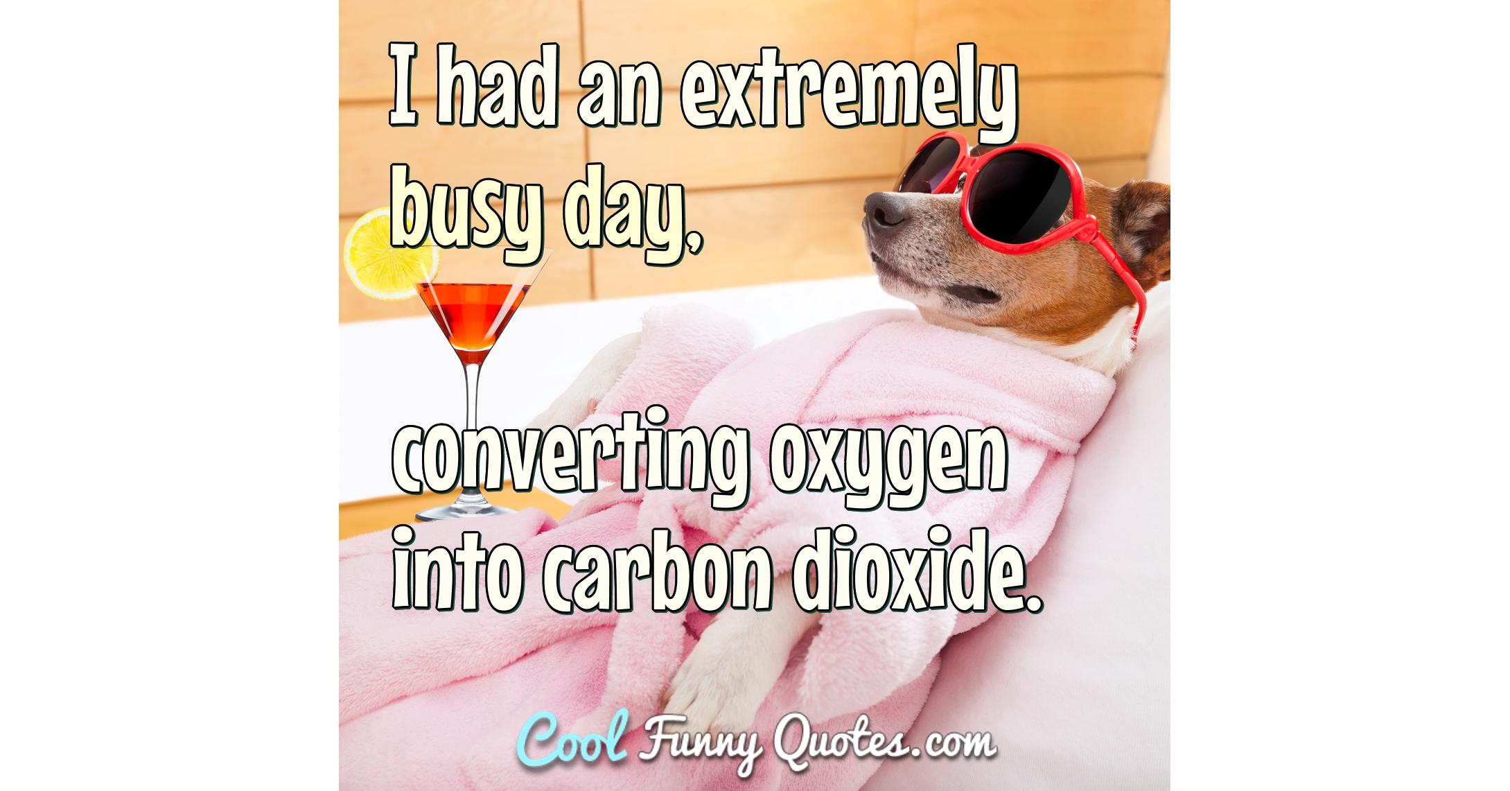 I had an extremely busy day, converting oxygen into carbon dioxide. I had an extremely busy day, converting oxygen into carbon dioxide.