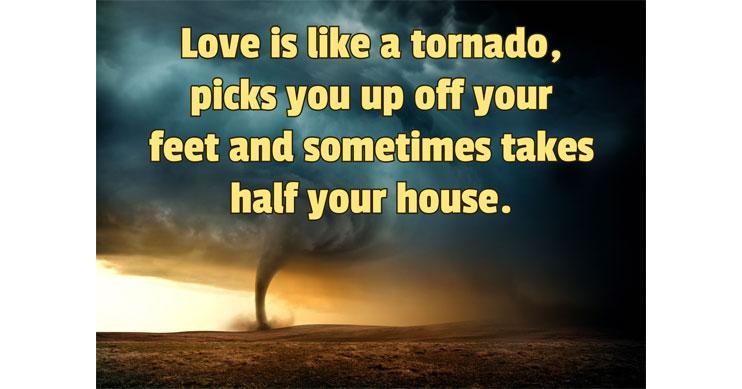 Funny Tornado Quotes