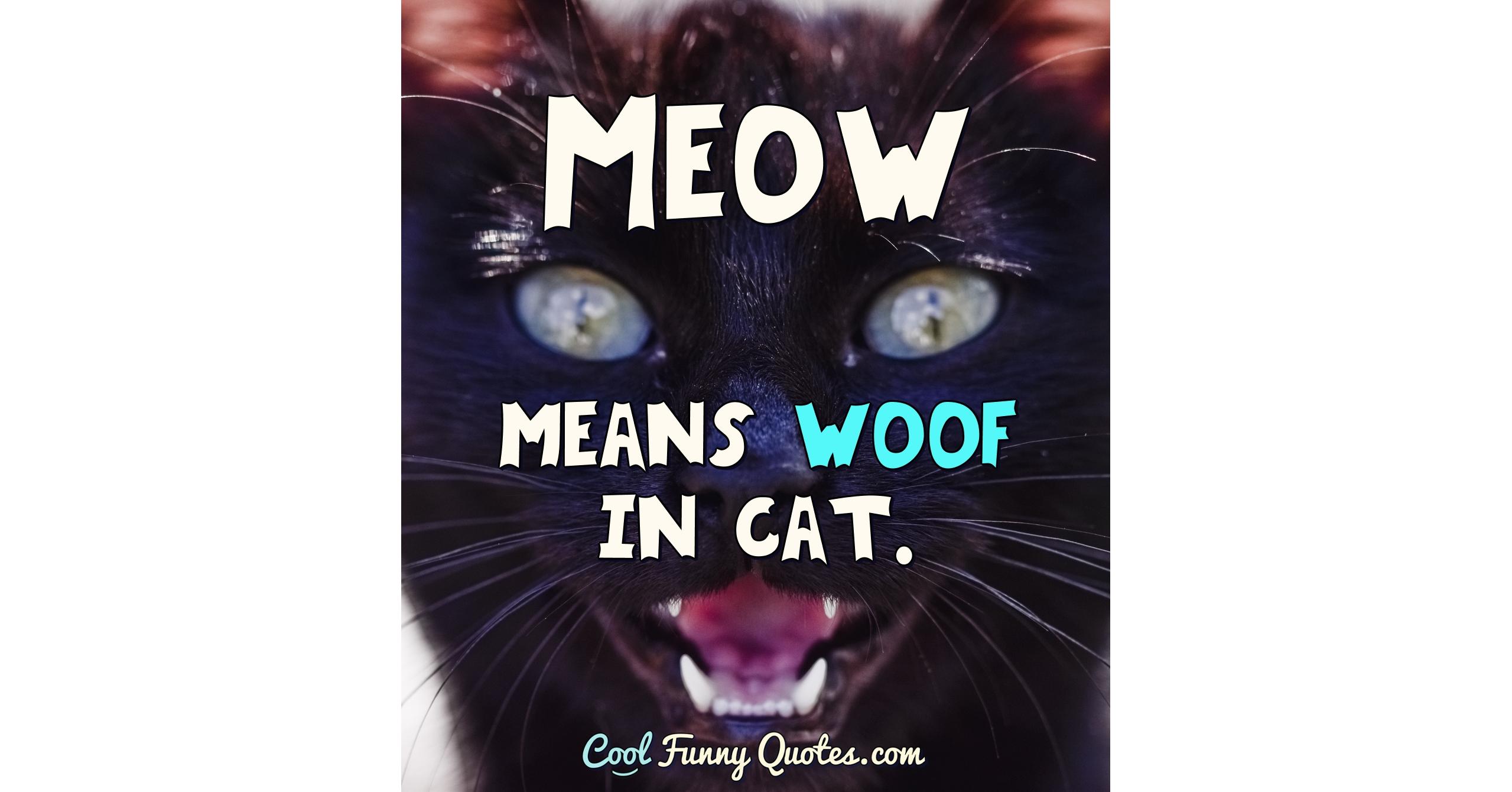Meow means woof in cat.
