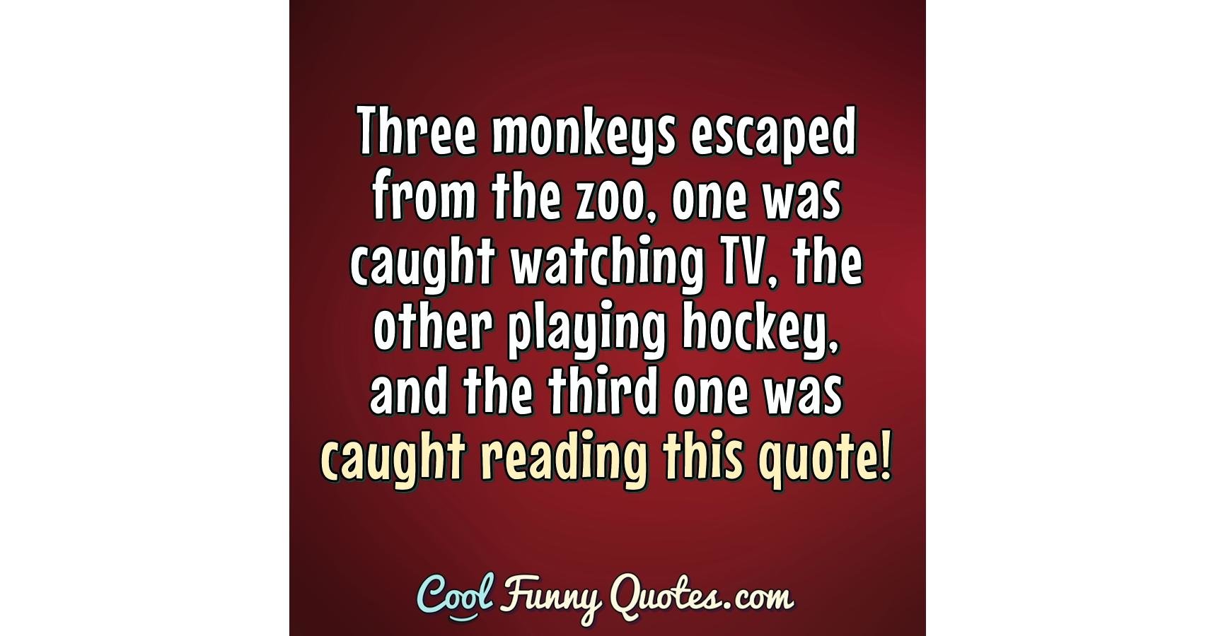 Monkey Tv Quotes