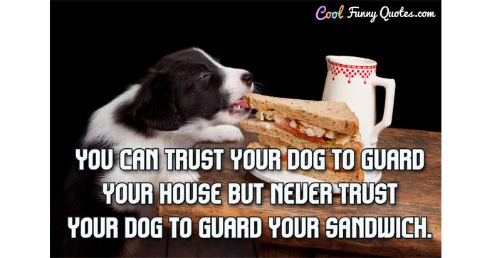 Security Dog Quotes