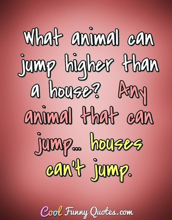 Funny Animal Quotes - Cool Funny Quotes